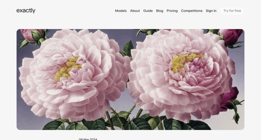 Exactly page examples | Nicelydone