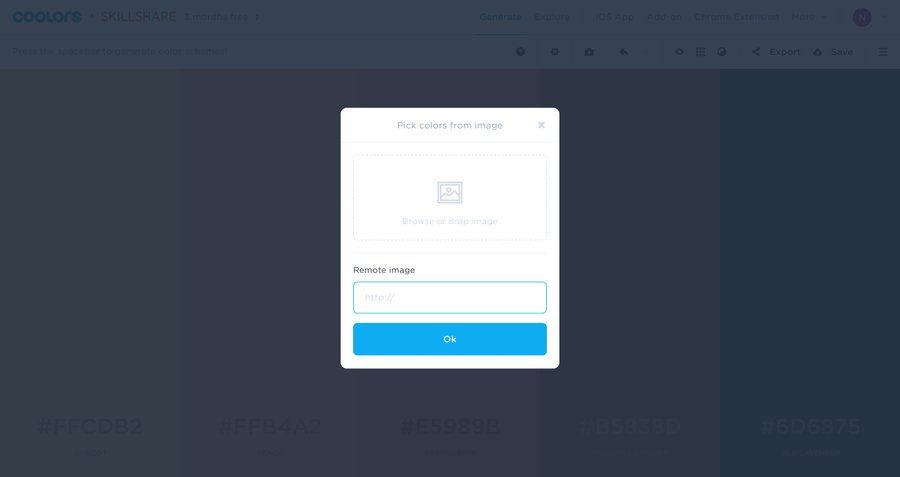 Coolors page examples | Nicelydone